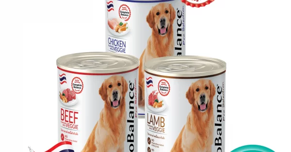 ProBalance 700G Lamb Loaf X 24 Cans - Petsupply.my