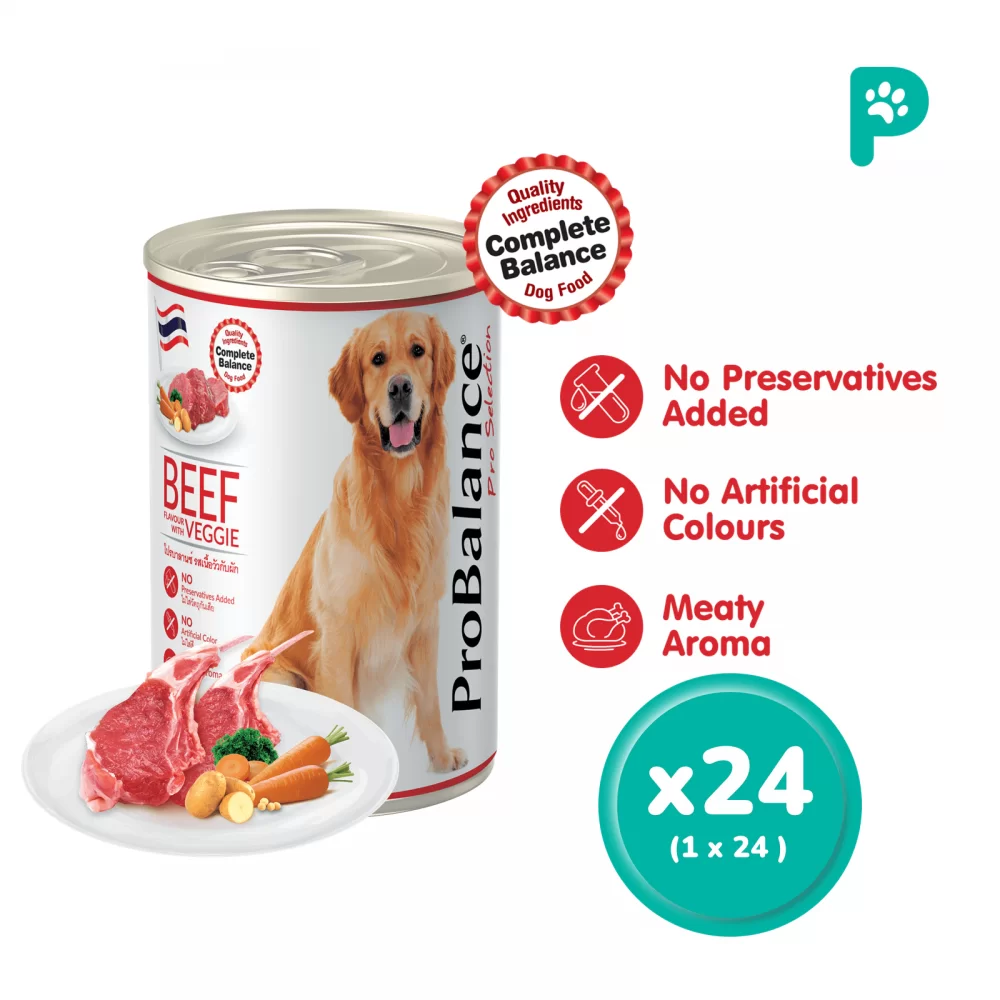 ProBalance 700G Lamb Loaf X 24 Cans - Petsupply.my