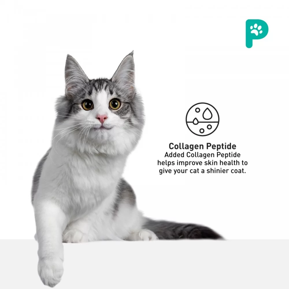ProDiet 85G Chicken in Broth Wet Cat Food - Petsupply.my