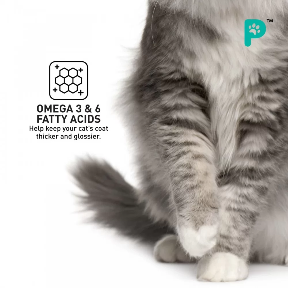 ProDiet 85G Fresh Tuna Wet Cat Food x 48 packs - Petsupply.my